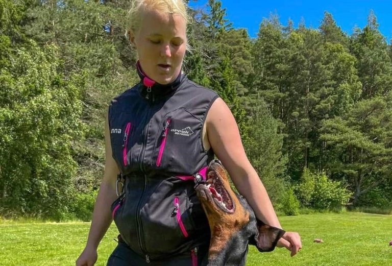 Vi som jobbar här - Kungliga Hundar